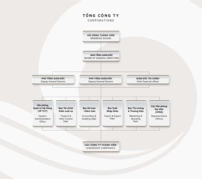 Organizational Structure